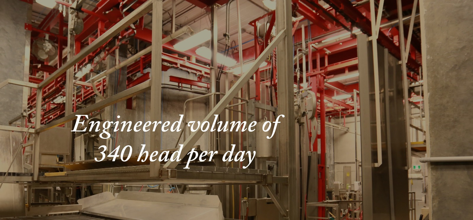 True North Foods – Manitoba's only federally-certified ruminant facility